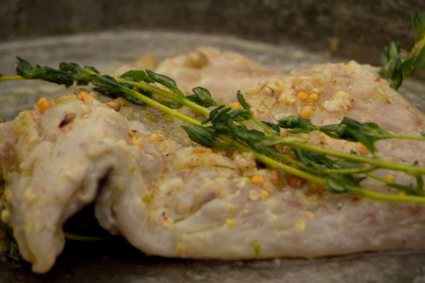 Marinated Bluefish | Sara Moulton
