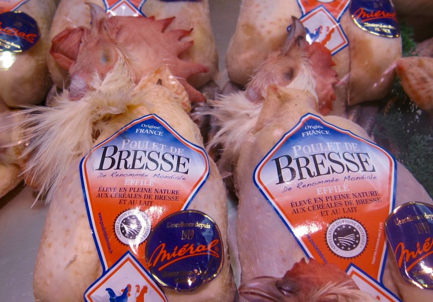 Our Anniversary Viking Cruise on the Rhone River | Sara Moulton